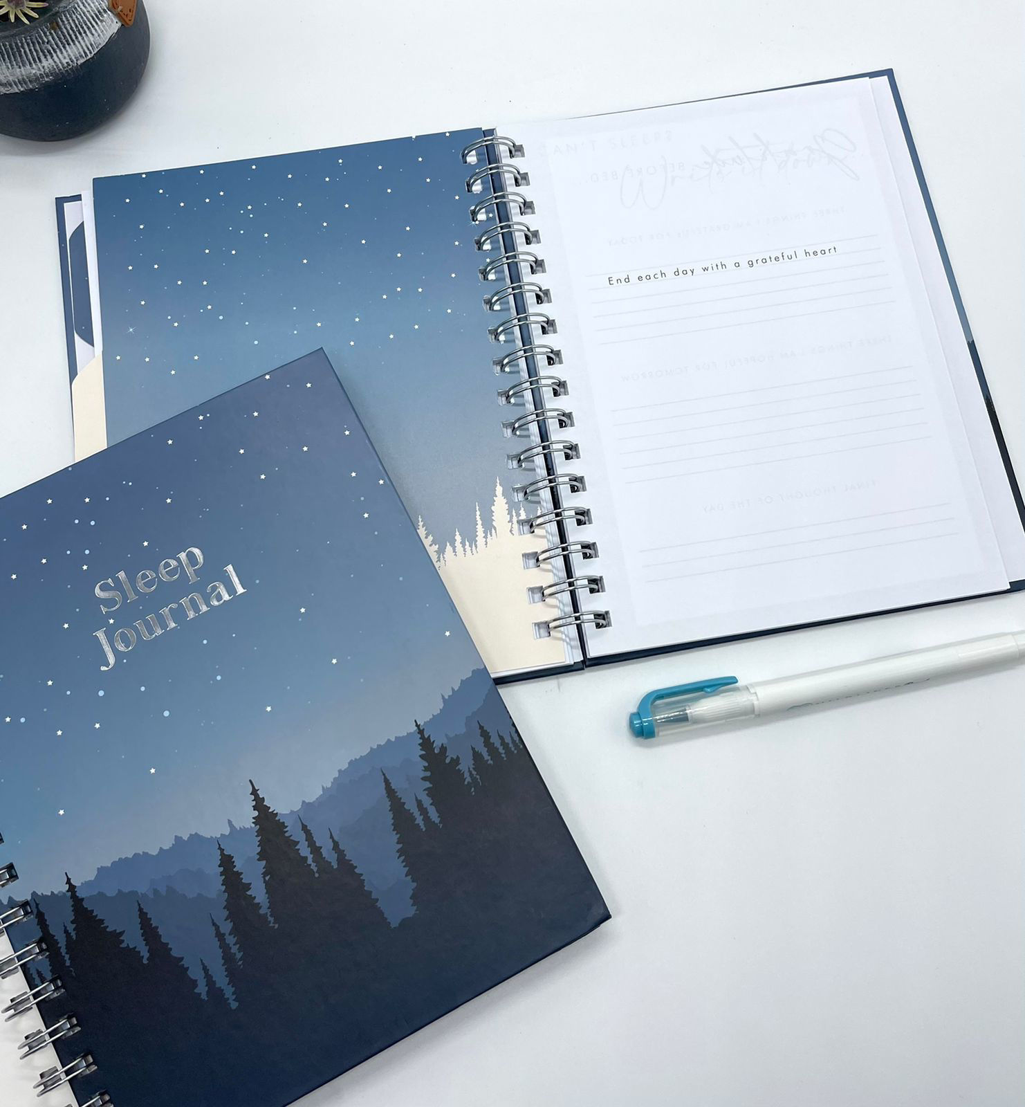 The Beautiful. Sleep journal
